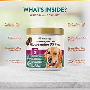 NaturVet – Glucosamine DS Plus - Level 2 Moderate Care – Supports Healthy Hip & Joint Function – Enhanced with Glucosamine, MSM & Chondroitin – for Dogs & Cats–120 Soft Chews