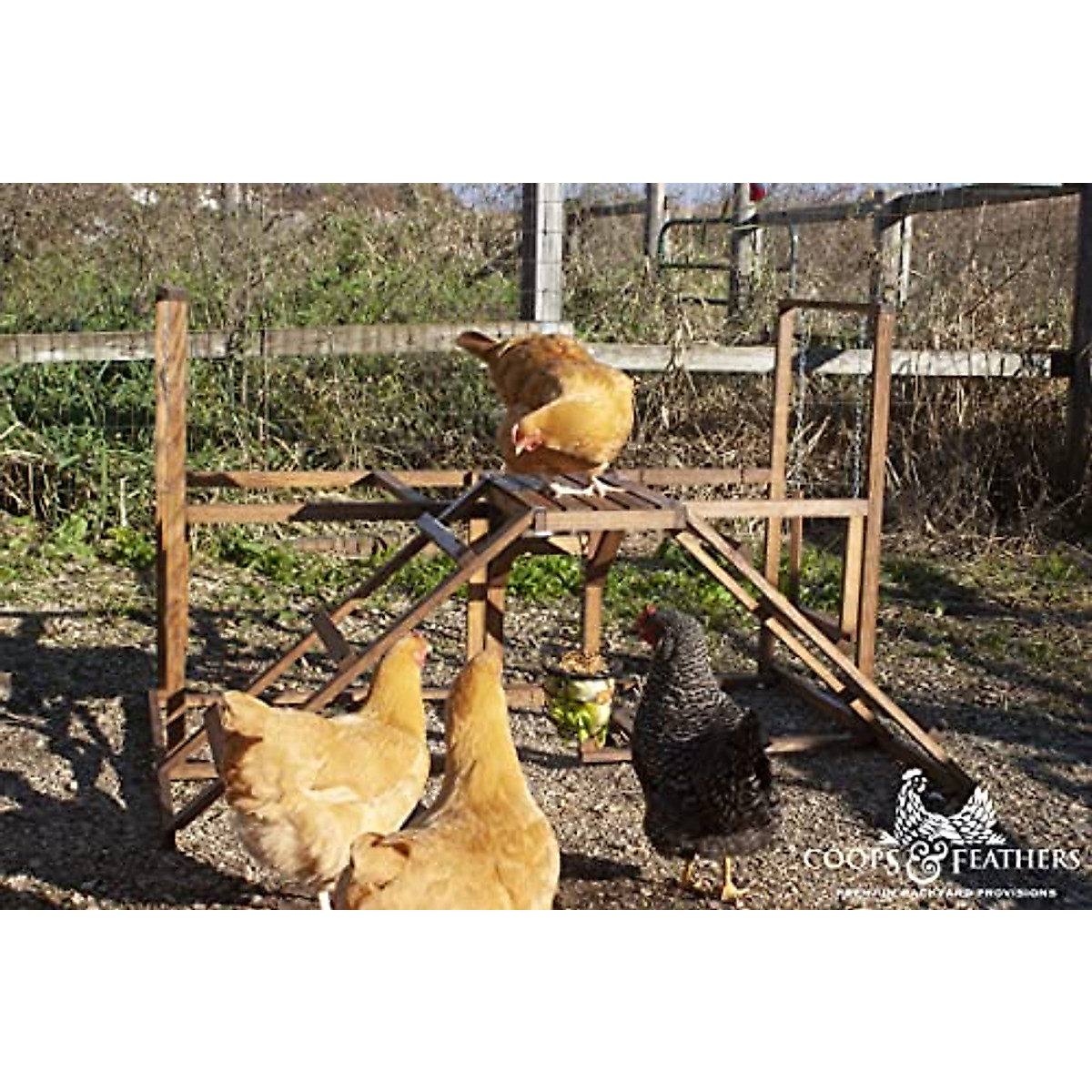Coops & Feathers Chicken Activity Center-Play, Swing, & Roost-Includes Treat Basket (Large)