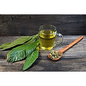 Yerbero - Te Herbal Hojas De Nispero 2oz (58gr) Herbal Tea (Loquat Leaves Tea) Stand Up Resealable Bag Crafted By Nature100% All Natural Fresh Tea Tea | Non-GMO |Gluten-free.