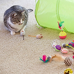 Youngever 24 Cat Toys Kitten Toys Assortments, Tunnel, Interactive Cat Teaser, Fluffy Mouse, Crinkle Balls for Cat, Kitty, Kitten