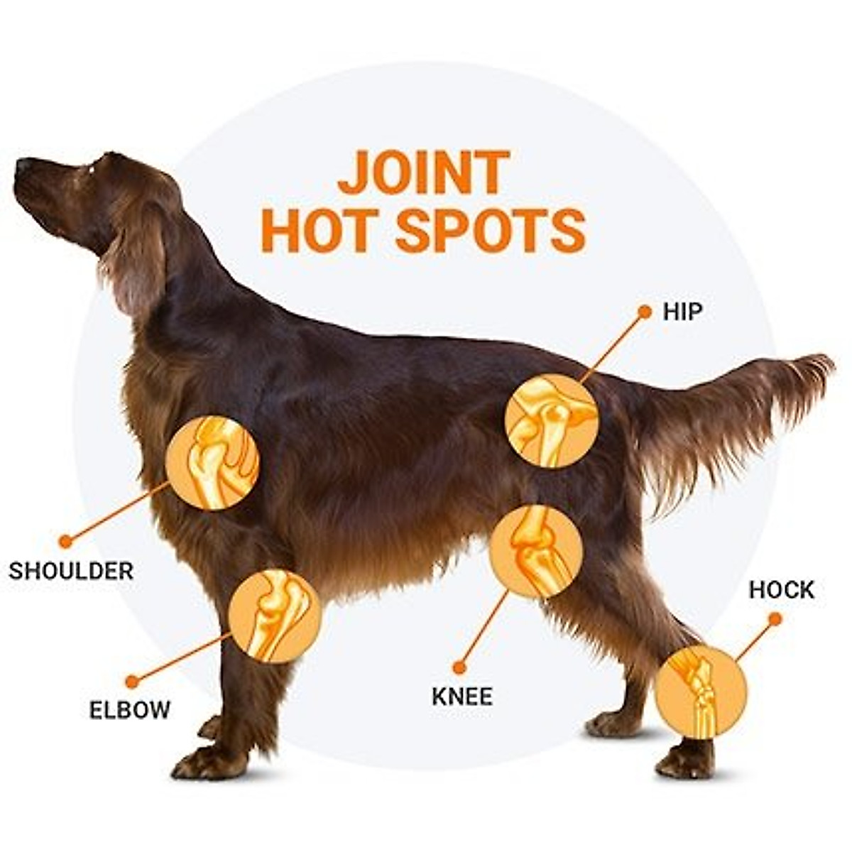 Cosequin MSM Joint Health Supplement for Dogs - 180 Chewable Tablets