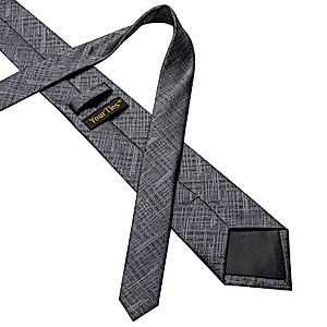 YourTies Mens Ties Silk Grey Ties for Men Solid Tie with Tie Clip Formal Business Textured Neckties
