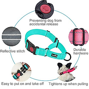 haapaw 2 Packs Martingale Dog Collar with Quick Release Buckle Reflective Dog Training Collars for Small Medium Large Dogs