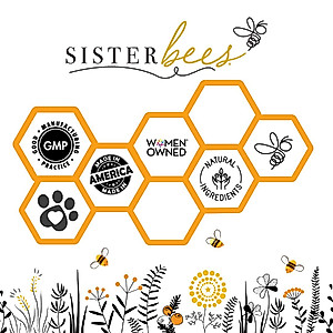 Bee Buddies 100% Natural Paw, Nose & Snout Beeswax Balm - Wax Protects & Repairs Cracked & Irritated Paws and Skin - Treatment for Pets - Proudly Made in The USA, Women-Owned, Beekeepers