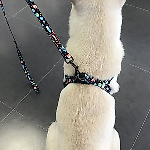 QQPETS Dog Harness Leash Set Adjustable Heavy Duty No Pull Halter Harnesses for Small Medium Large Breed Dogs Back Clip Anti-Twist Perfect for Walking (S(14"-20" Chest Girth), Space)