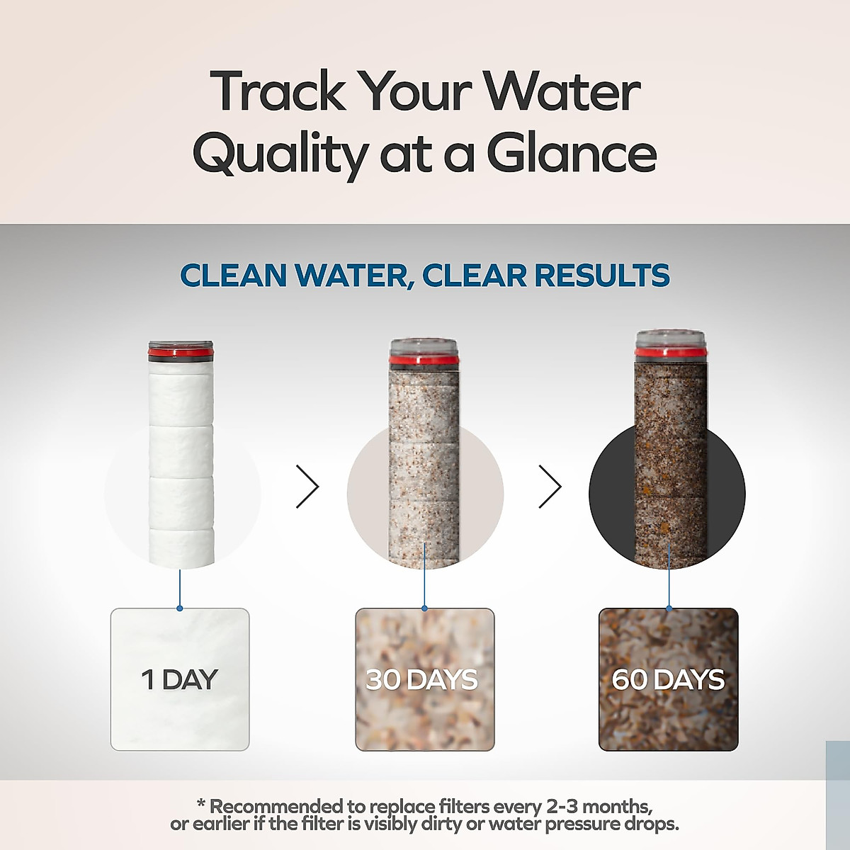 EZWELL Visible Filtered Shower Head LITE Sediment Filter with High Pressure NSF Certified Korea| Filtration System, Removes Rust | - Good for Dry skin & Hair, Travel, RV, Bathroom - Easy Install