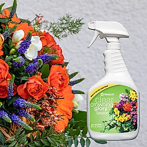 Crowning Glory Flower Spray 32 Fl. Oz