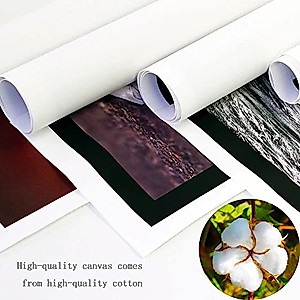 XIANGFA The Smashing Pumpkins Flag Mellon Collie and the Infinite Sadness Poster Canvas Wall Art Print Painting Posters unframed 12x18inch(30x45cm)