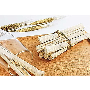 OSWINMART Sweet Bamboo Sticks(1/2lb), Pet Chew Snacks Molar Sticks Keep Clean Teeth and Healthy Gums for Rabbits Hamsters Chinchillas Guinea Pigs Bunny Squirrels