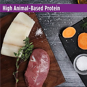 Nulo Freestyle Cat & Kitten Food, For Hairball Management, Premium Grain-Free Dry Small Bite Kibble, All Natural Animal Protein Recipe with BC30 Probiotic for Digestive Health Support