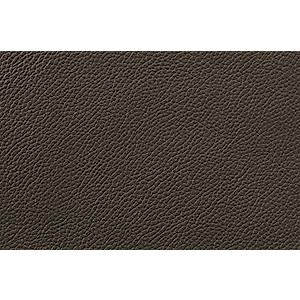 Homelegance Olympia Modern Design Power Reclining Sofa Top Grain Genuine Leather Match, Raisin