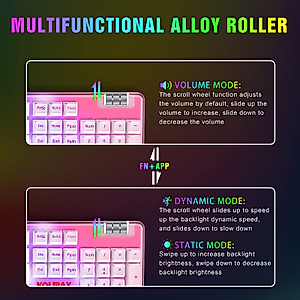 K10 RGB Gaming Keyboard,Transparent Case RGB Backlit Keyboard with PBT Keycap,Ergonomic Wired White Keyboard with Mechanical Feel 104 Key keyboard with Scroll Wheel for PC PS4 Xbox Mac Gaming Office