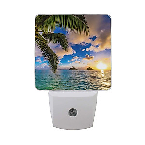 JOYPRINT Led Night Light Tropical Hawaii Palm Tree Ocean Sea Sunset, Auto Senor Dusk to Dawn Night Light Plug in for Kids Baby Girls Boys Adults Room