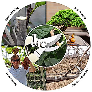 Garden Scissors for Plant, Tip Pruning Shears for Cutting Flowers, Trimming Plants, Bonsai and Fruits Picking (Bypass Blade Pruner)