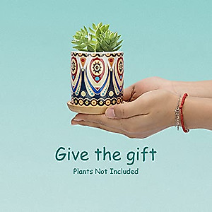 Warmplus Succulent Pots, 3 inch Mandala Planter Pot with Drainage and Bamboo Tray, Small Pots for All House Plants, Succulents, Flowers, Cactus, Pack of 6 - Plants Not Included