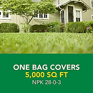 Scotts Turf Builder Weed and Feed 3; Covers up to 5,000 Sq. Ft., Fertilizer, 14.29 lbs.