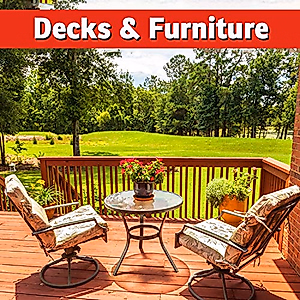 I Must Garden Squirrel Repellent: Protects Vehicles, Plants, Decking, & Furniture – Works on Chipmunks – 32oz Ready to Use