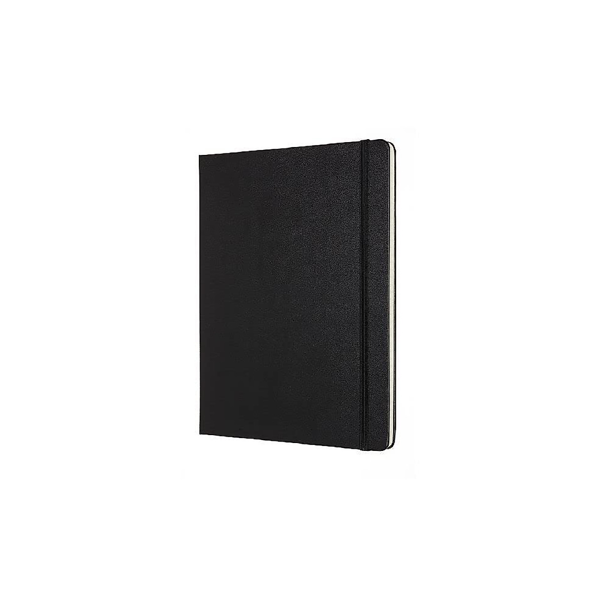 Moleskine PRO Notebook, Hard Cover, XL (7.5" x 9.5") Professional Project Planning, Black, 192 Pages
