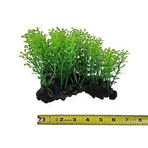 Gingerbread Pet Supply Aquatic Plastic Plant with Large Rock Base