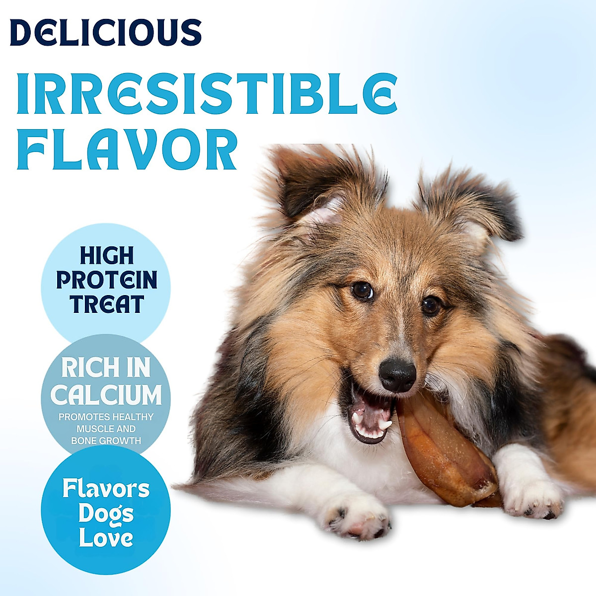FETCHERONI Dog Treat Variety Box - Variety Box Consists of 5 Pig Ears, 3 Yak Cheese Chews, 3 Bully Sticks, 2 Cow Ears, and 1 Dog Bone - Long Last Dog Chew Treats - All Treats are 100% Natural