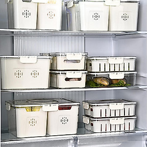 RUDINO,Fridge Organizer,Fridge Storage,Fridge Organizers And Storage Clear,Fridge Organization,Fridge Storage Containers,Stackable With Lid For Fruit,Refrigerator Tissue,Vegetables,Food And Beverages.