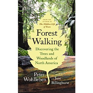 Forest Walking: Discovering the Trees and Woodlands of North America