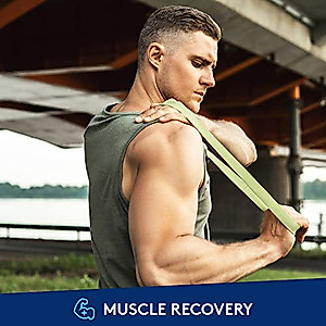 RSP Creatine Monohydrate – Pure Micronized Creatine Powder Supplement for Increased Strength, Muscle Recovery, and Performance for Men & Women, Unflavored, 10.6 Ounce