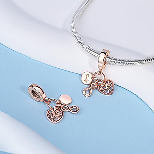 ARTCHARM Family,Rainbow,Penguin Charms 925 Sterling Silver Beads Fit Women's Bracelets & Necklaces, Happy Birthday Charms for Women