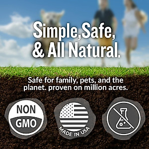 Turf Titan Thatch Buster with Hose End Sprayer – Natural Lawn Aerator and Grass Dethatcher – Probiotic Solution for Improved Lawn Drainage, Soil Health, and Strength (32oz)