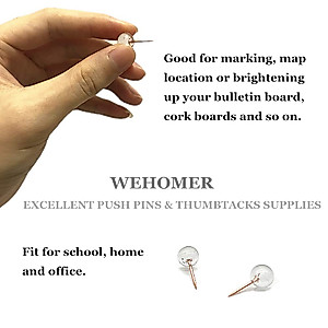 Liphontcta FITULABO Rose Gold Push Pins Thumb Tacks, Transparent Plastic Round Head Map Tacks for Hanging Pictures, Posters, Documents, Wall Maps On Walls and Bulletin Boards (100)