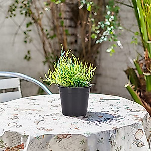 Whonline 50 Pack 1 Gallon Nursery Pots Flexible Plastic Plant Seeding Pots, Seed Starting Pots for Flower Seedling, Cuttings, Transplanting