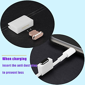 4 Pack Metal Anti Dust Plugs Compatible with iPhone 13 12 11 Pro XR XS iPad Protects Lightning Charging Dust Cover with 4 Pcs Anti-Lost Storage for iPhone X, XS, XR, 8, 7, 6 Plus,Pink