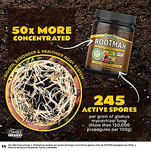 RootMax - Mycorrhizal Fungi Rooting Powder for Plant cuttings | 50x More Potent Mycorrhizae Enhanced Formula for Bigger Roots, Healthier Plants & Maximum Yield. Pack of (200g/7.05 oz)