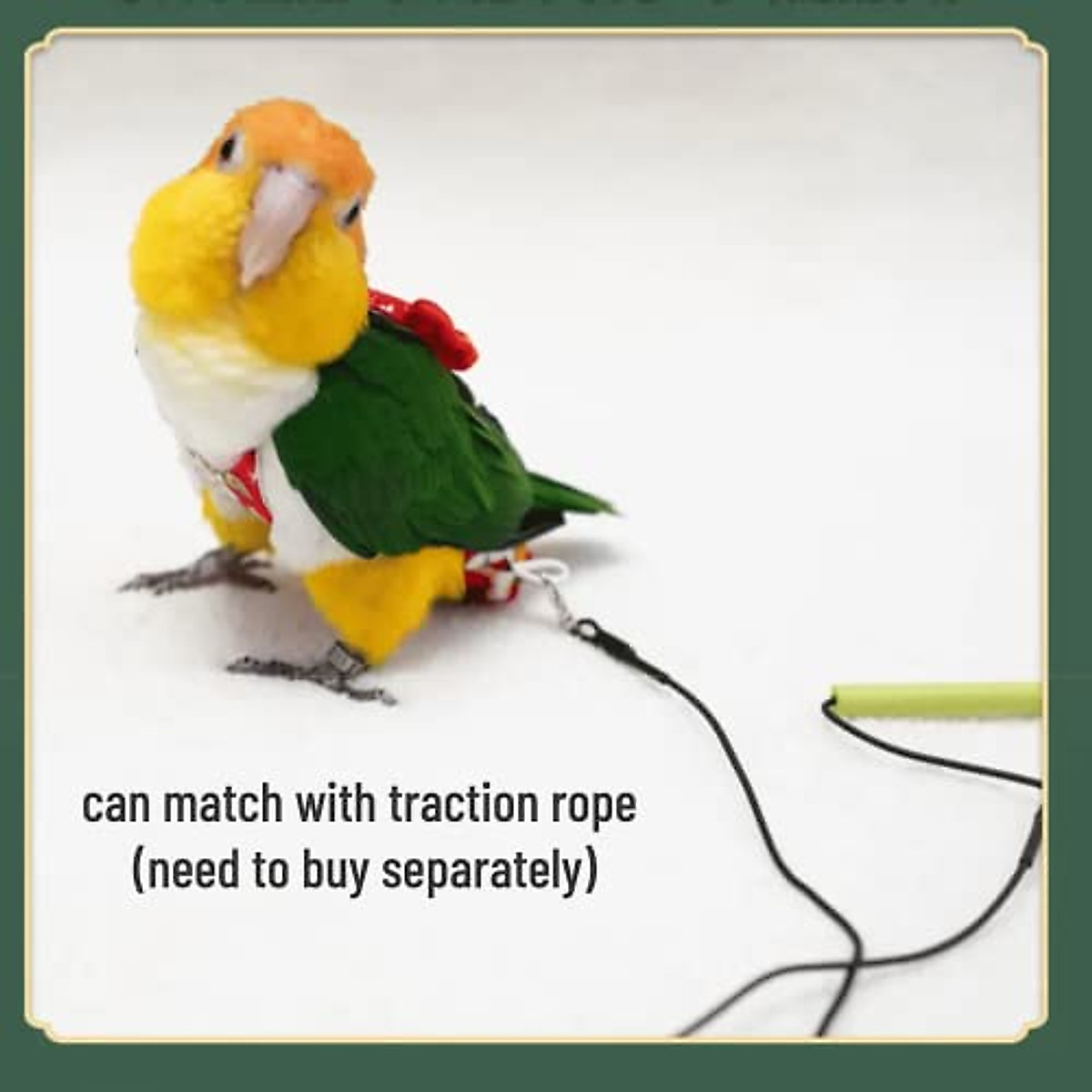 Bird Flight Suits Diapers, Parrot Flight Suits Diapers for Monk Parakeets, Cockatiels Flight Suits, Parrot Clothes, Bird Training Nappy Suit Liners Clothes (Small,Purple)