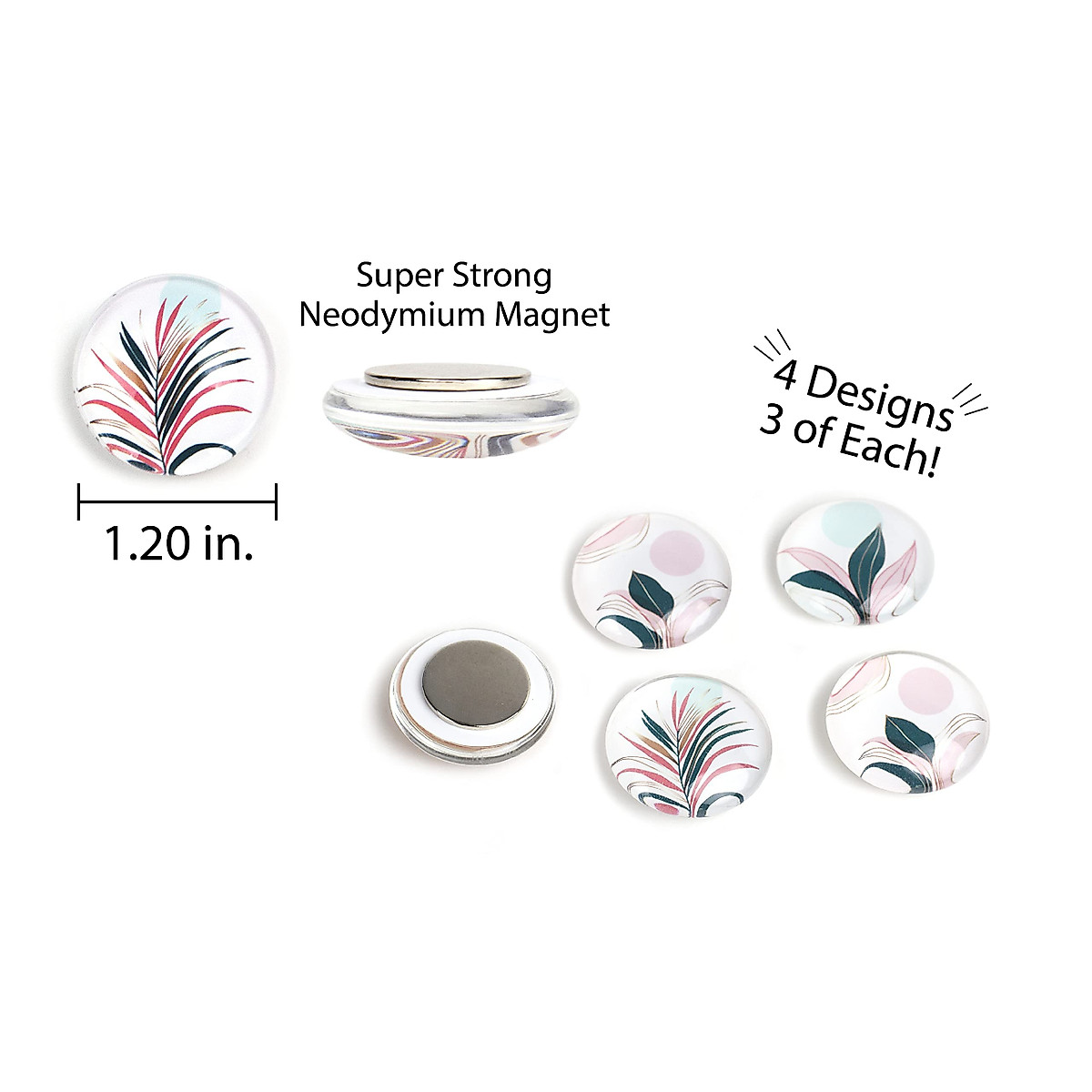 12 Pack Multicolor Plant Fridge Magnet Set, Strong Refrigerator Magnets for Whiteboard, Cute Magnets for Lockers, Neodymium Magnet Backing