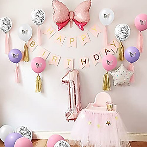 Pink Purple White Latex Balloons with 3D Butterfly, 62pcs 12 Inch Light Pink Purple Balloons with Ribbon for Girl Birthday Decorations (PinkSilver)