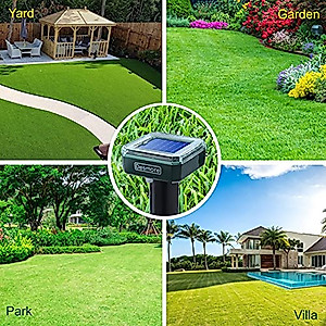 DESMORE 4 Pcs Solar Sonic Mole, Vole and Gopher Repeller with a Beautiful Free Stainless Foldable Shovel, 100% Safe, Single Device Coverage Up to 6,700 Sq.ft, IP65 Waterproof(Color Box Packaging)