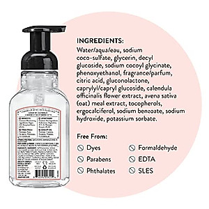 J.R. Watkins Foaming Hand Soap Pump with Dispenser, Moisturizing All Natural Hand Soap Foam, Alcohol-Free, Cruelty-Free, USA Made, Use as Kitchen or Bathroom Soap, Grapefruit, 9 fl oz, 6 Pack