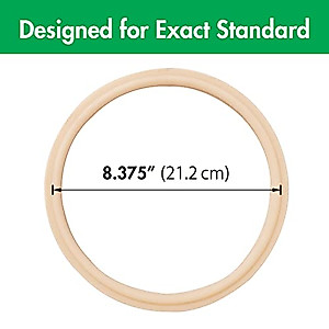 (1 Set) 8 3/8" Pool Light Lens Gasket and Stainless Pilot Screw - Exact Replacements for Pentair 79101600Z and 79104800 - Compatible with Pentair IntelliBrite, AmerLite, and SAM Amerlite Lights