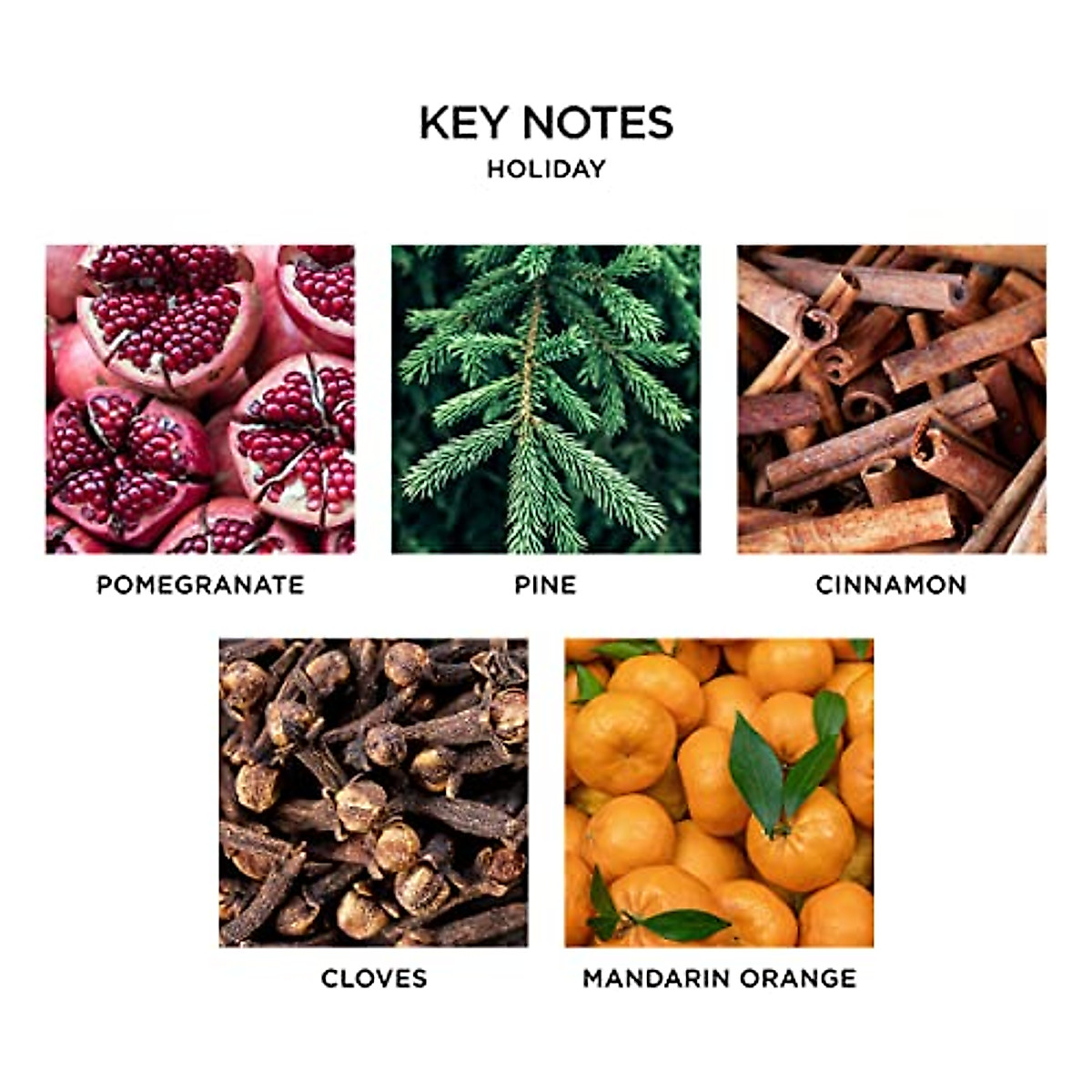 NEST Fragrances Votive Candle- Holiday , 2 oz