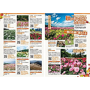 関西秋Walker2021 ウォーカームック