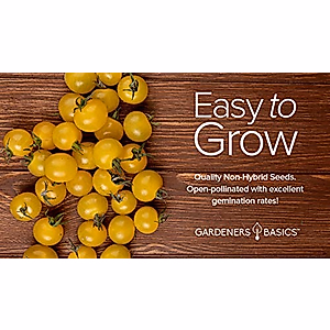 Yellow Pear Tomato Seeds for Planting Heirloom Non-GMO Seeds for Home Garden Vegetables Makes a Great Gift for Gardening by Gardeners Basics