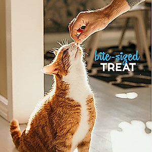 Buddy Biscuits 3 oz. Pouch of Grain Free Soft & Chewy Cat Treats Made with Natural Temping Tuna