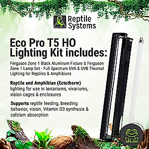 Reptile Systems - Eco T5 High Output Lighting Kit - Dual Reflector Fixture & Ferguson Zone 1 Lamp 2.4% - Full Spectrum UVA & UVB Amphibian & Reptile Lighting - 46 Inch Fixture - 54 Watts