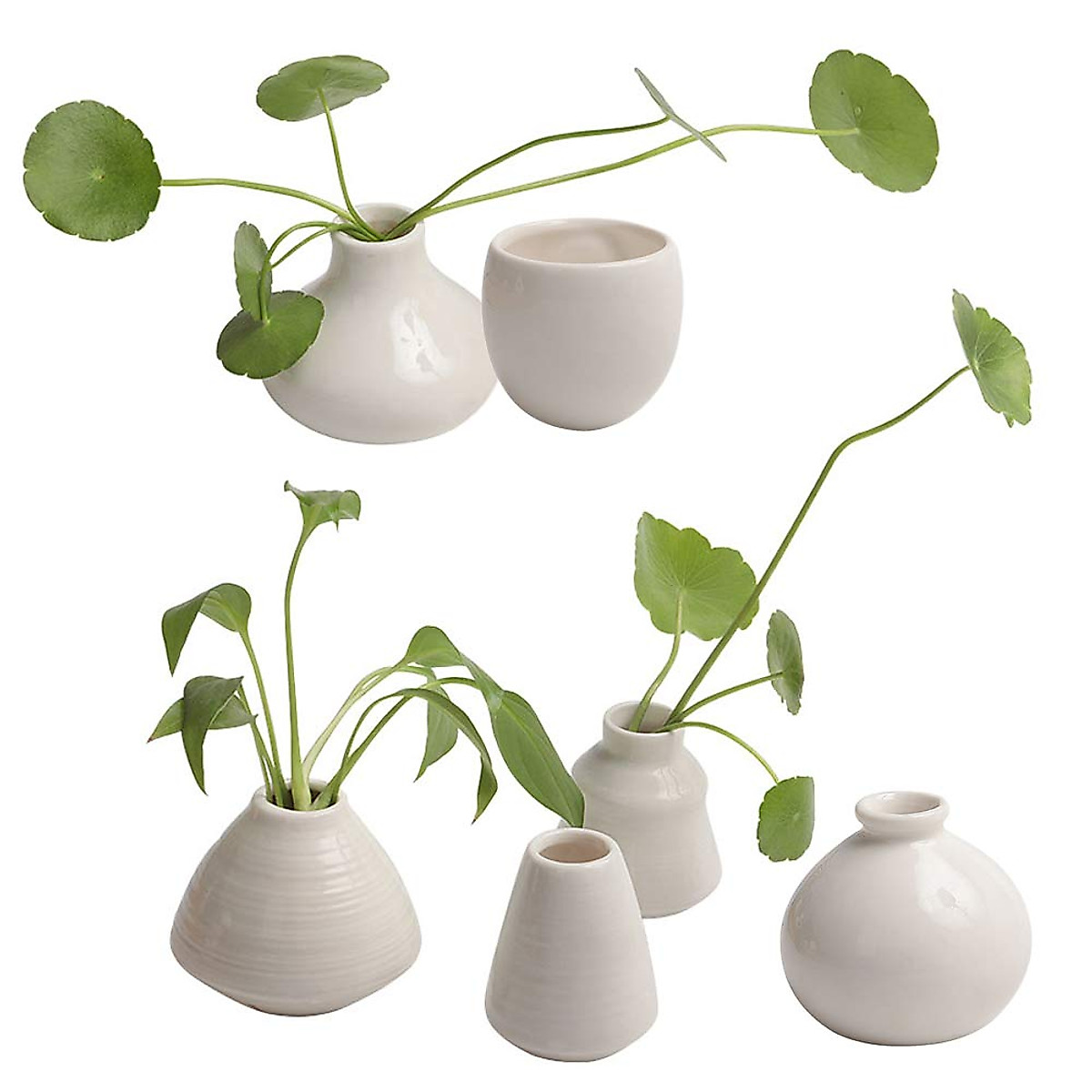 Pearlead Set of 6 Magnetic Mini Ceramic Vase Refrigerator Magnets Sticker Fridge Whiteboard Magnets for Home and Office Refrigerator Decoration