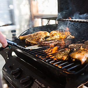 Evergreen Farm and Garden Coleman Propane Replacement Fuel Cylinders 16 oz Camping Fuel Bundled (6 Pack)