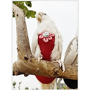 Yu~'s north Bird Diaper Harness Flight Suit Clothes with Flying Leash for Parrots Cockatiel Pet Birds, Parrot Clothes, Bird Training Nappy Suit Liners Clothes (M, Red), Medium