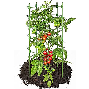 Tomato Cage for Pots 36 inch 4 Pack Garden Plant Support Tomatoes Trellis Cages with 4 Stakes & 5 Adjustable Rings for Cherry Tomato Vegetables Cucumber Climbing Plants Flower Rose Indoor Outdoor