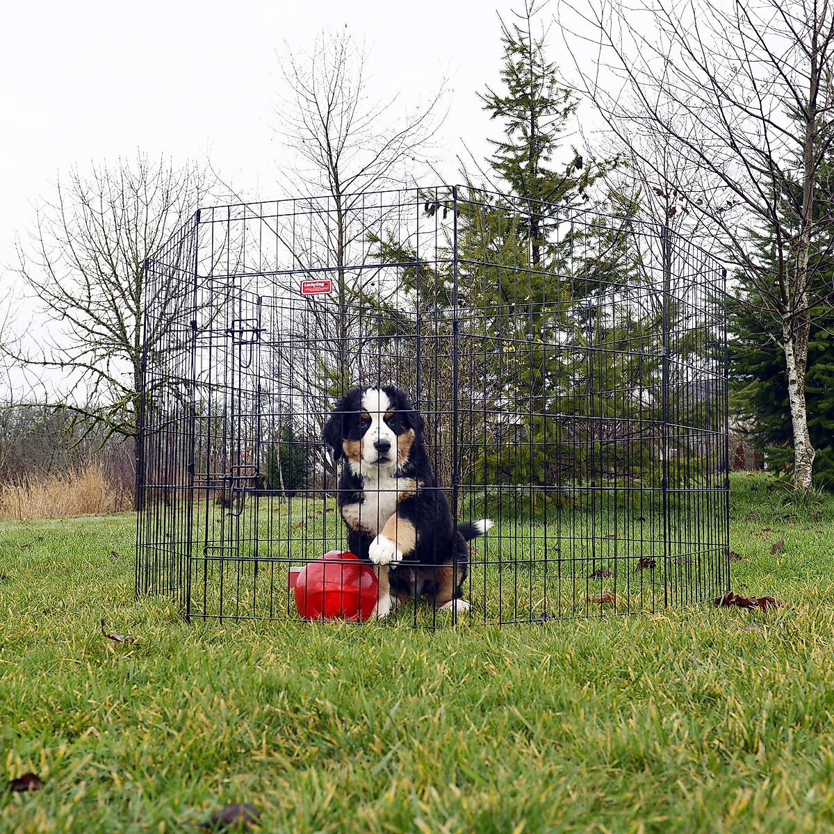 Lucky Dog Modular Pet Play Pen