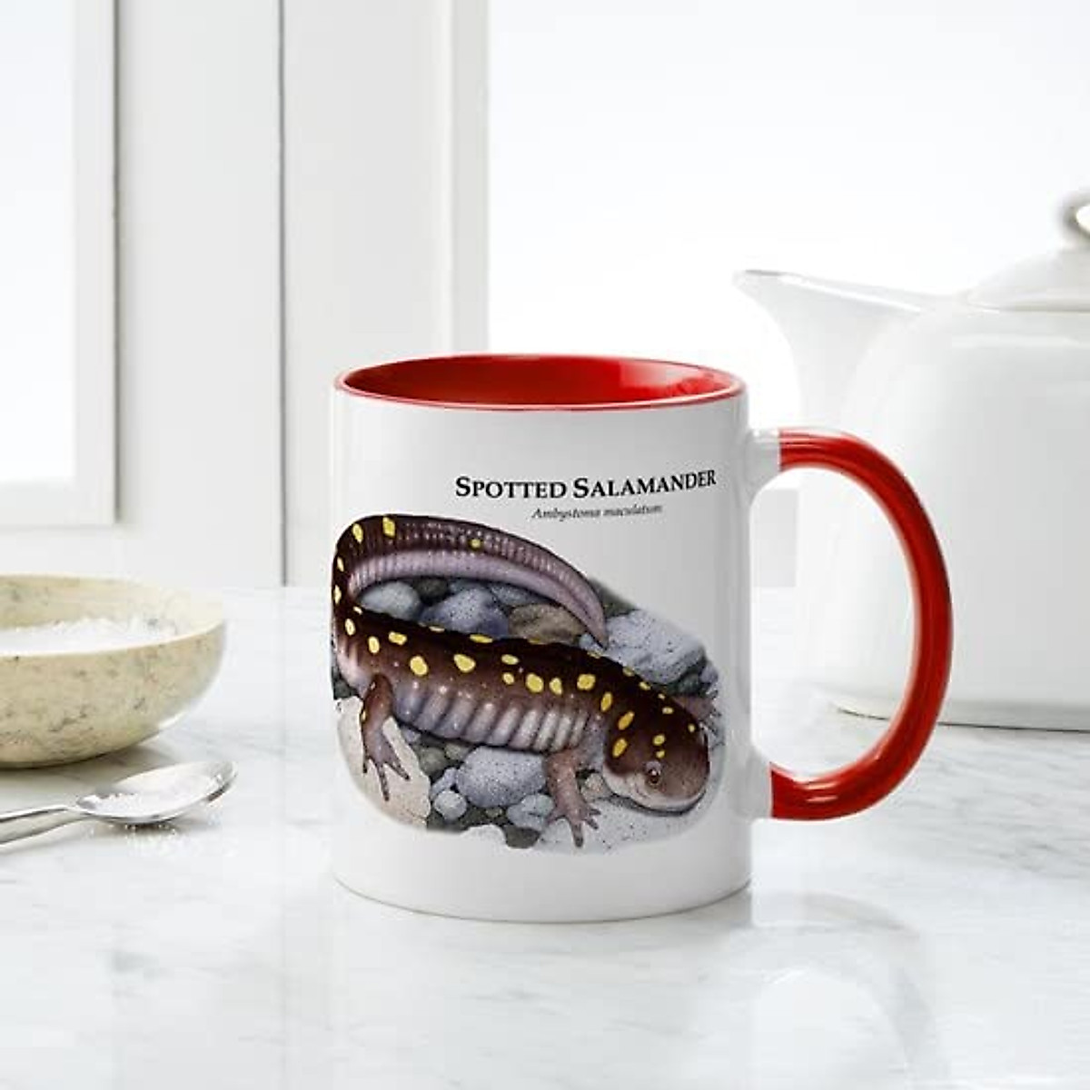 CafePress Spotted Salamander Mug Ceramic Coffee Mug, Tea Cup 11 oz